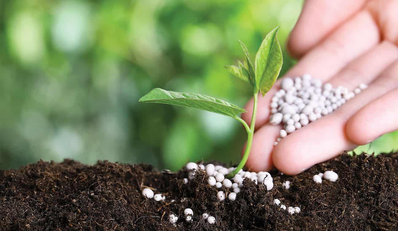 Mineral fertilizers | Elixir Group