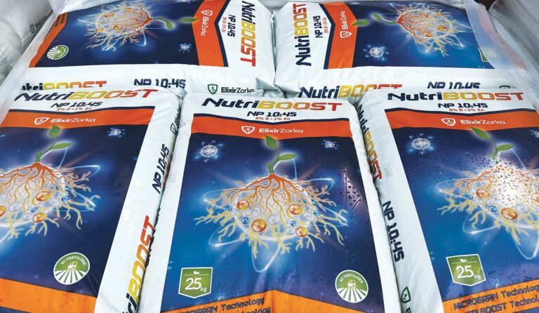 NutriBOOST NP 10:45 | Elixir Group