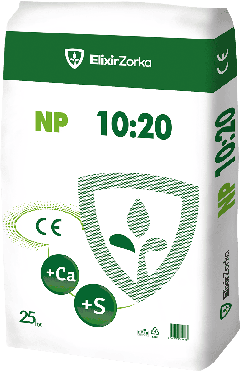 NP 10 20